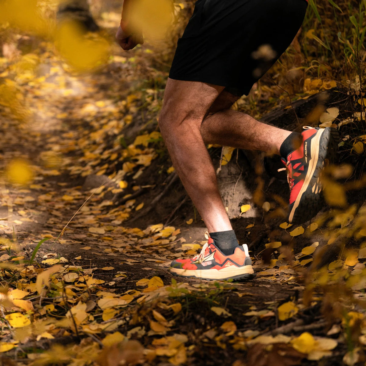 ALTRA 23SS NEW ARRIVAL – STREAM