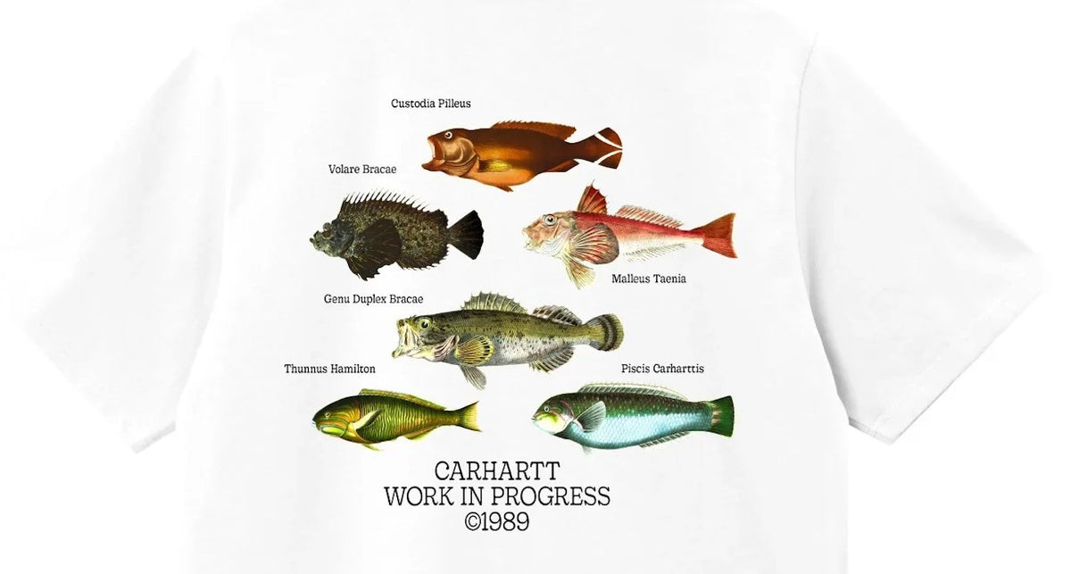 S/S TEE PICK UP ITEM！ – STREAM
